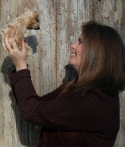 Erin Roy Paintings in Bears and Buds Teddy Bear Magazine