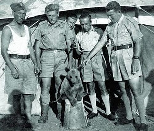 WWII HISTORY-CORPORAL VOYTEK in BearsandBuds Teddy Bear Magazine